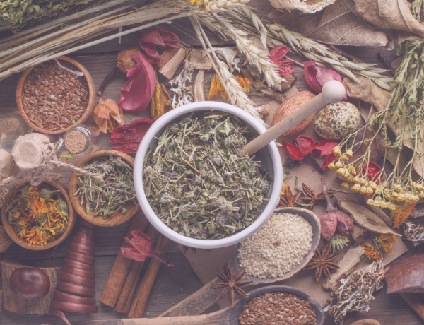 10 Herbs That Support Your Lymphatic System: Grab Them at Your Local ...